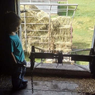 Hay Making Time | Farm Kids